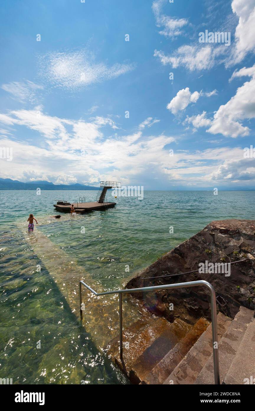 Swimming in Lake Geneva, bathing lake, swimming, summer, summer holiday ...