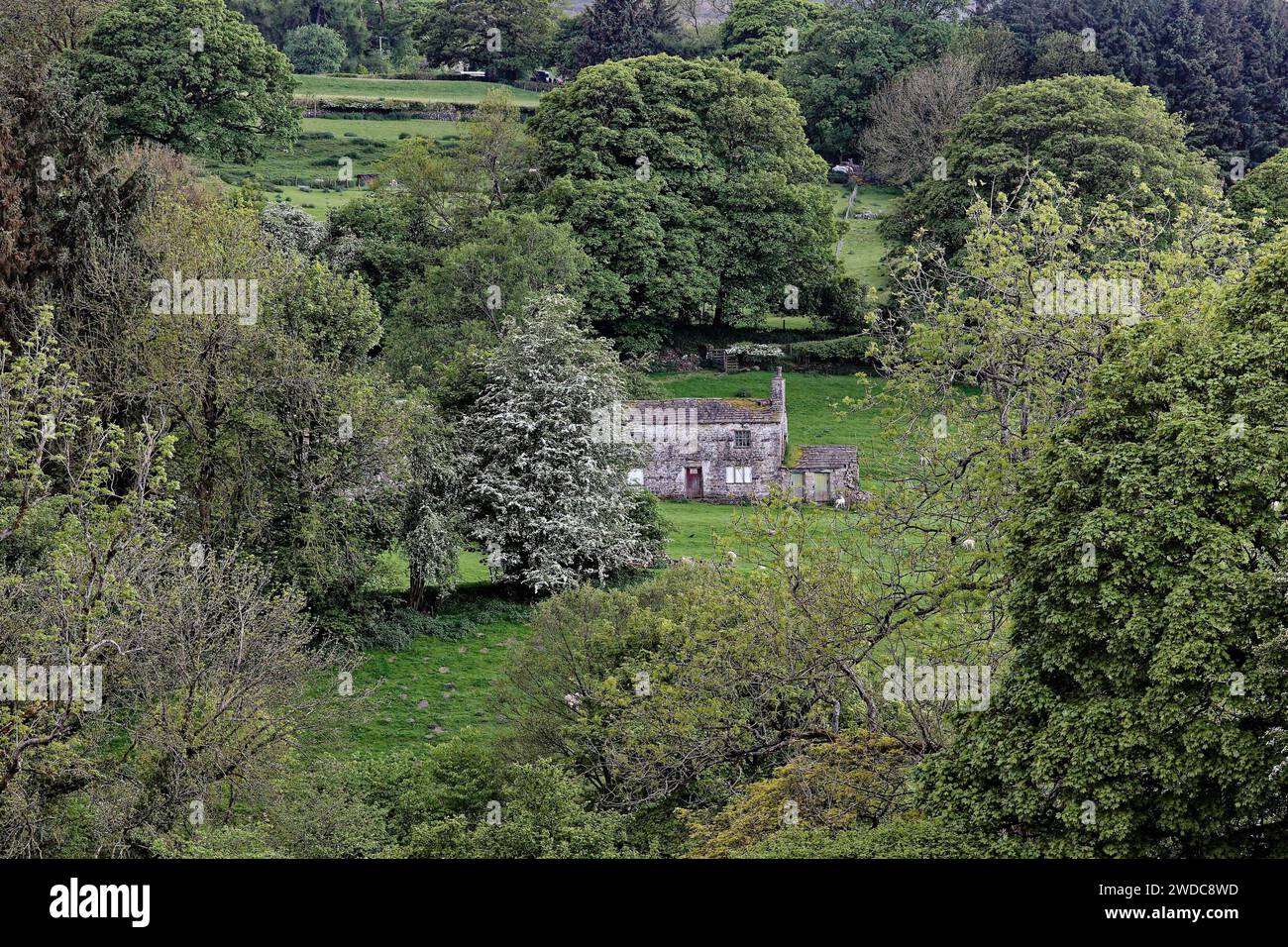 An idyllic rural scene with a hidden stone cottage surrounded by green ...