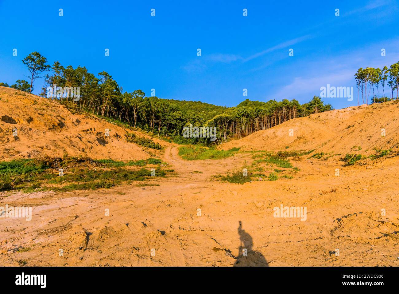 Barren area of land that has been cleared for development with a road ...