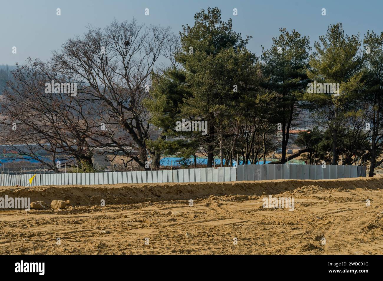 Grove of trees surrounded by metal fence to be protected at ...