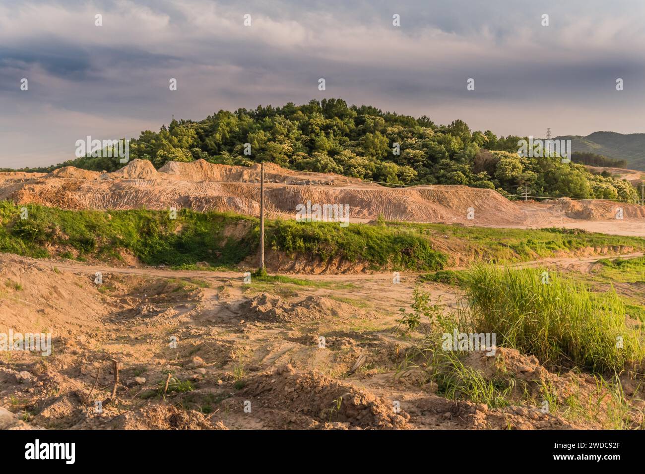 Barren area of land that has been cleared for development with lush ...