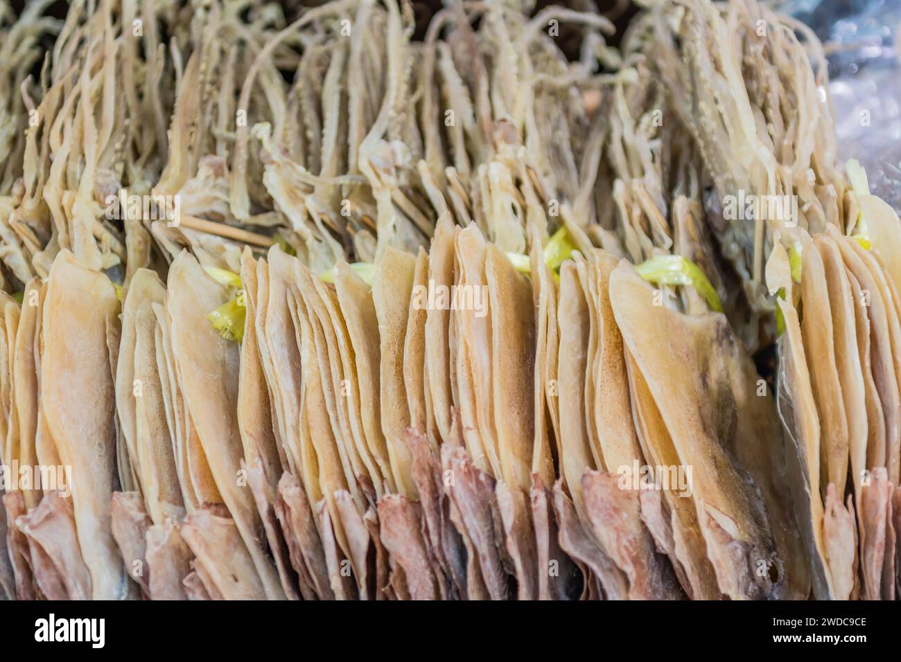 Dried squid detail hi-res stock photography and images - Alamy