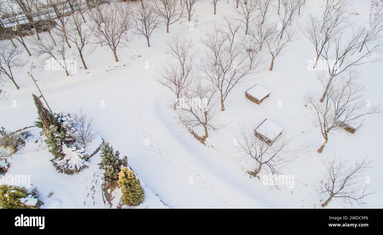 Aerial view of trees and picnic tables covered with snow in a snow ...