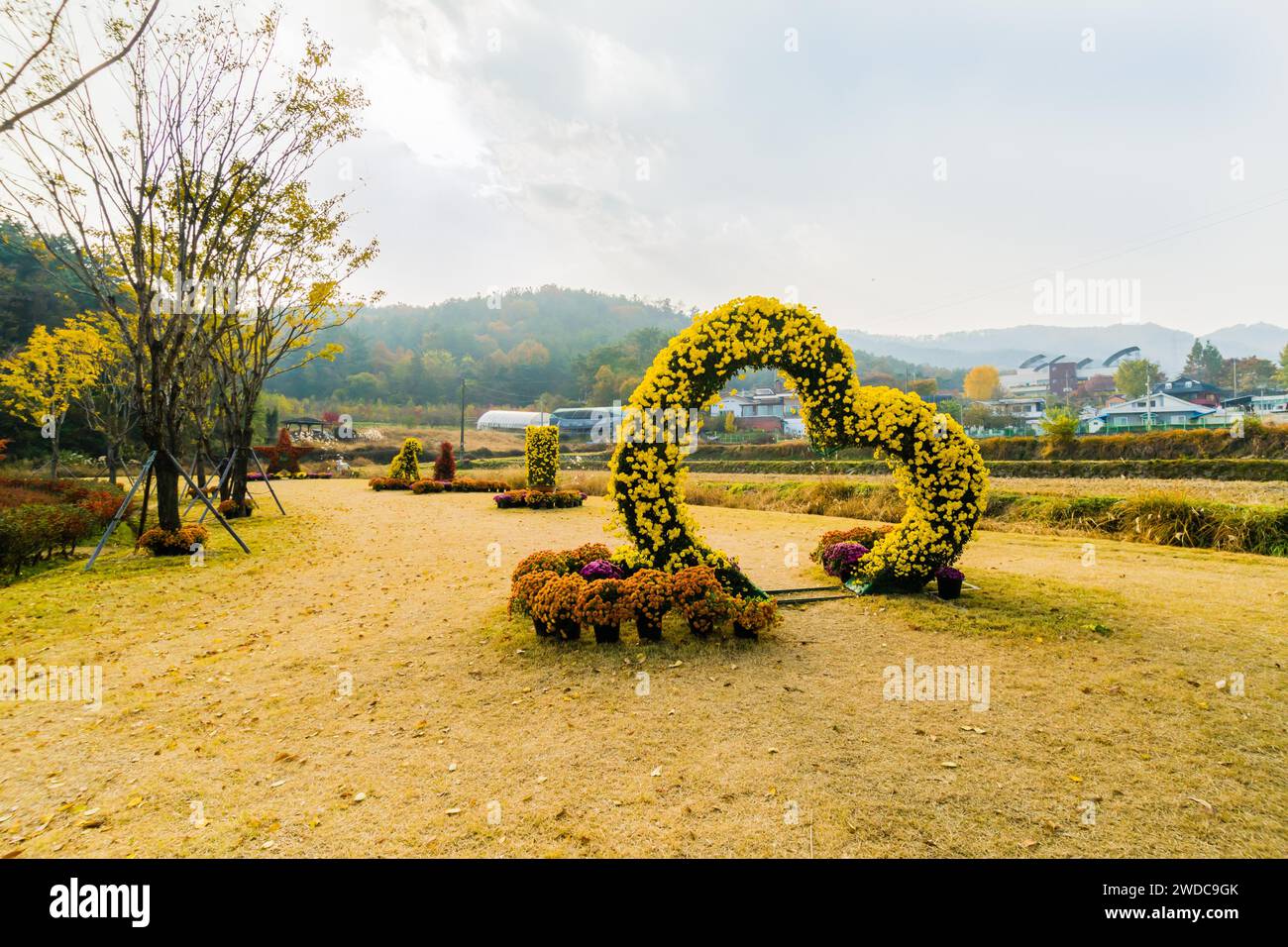 Heart shaped bush covered with yellow daisies at a public park near ...