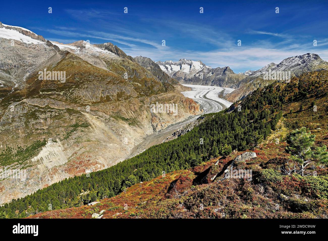 Great Aletsch Glacier, the heart of the Jungfrau-Aletsch-Bietschhorn ...
