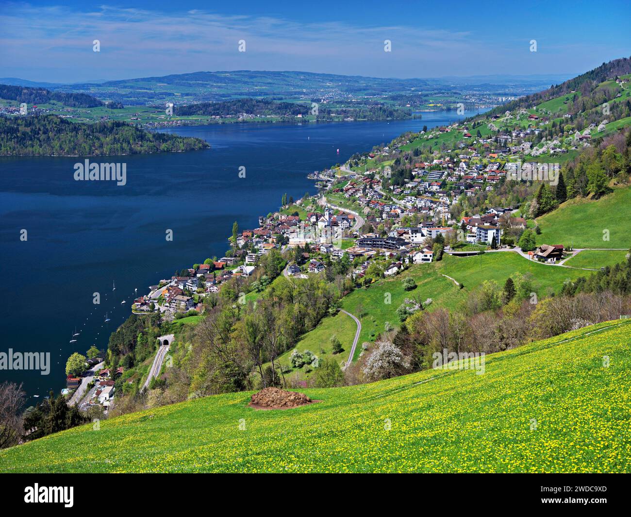 View of Lake Zug with the village, Walchwil, Canton Zug, Switzerland ...