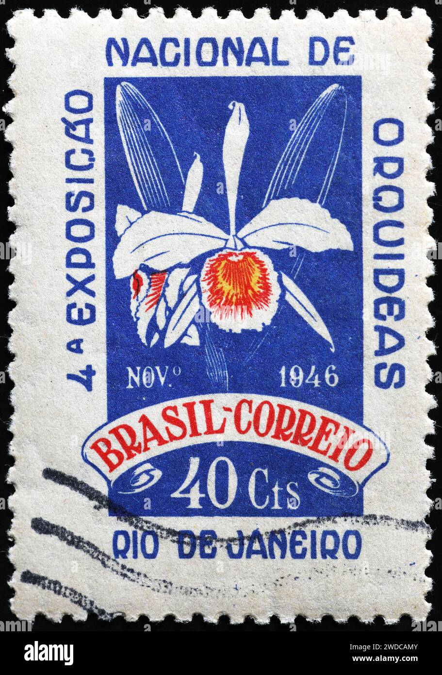 Beautiful orchid on vintage brazilian postage stamp Stock Photo - Alamy