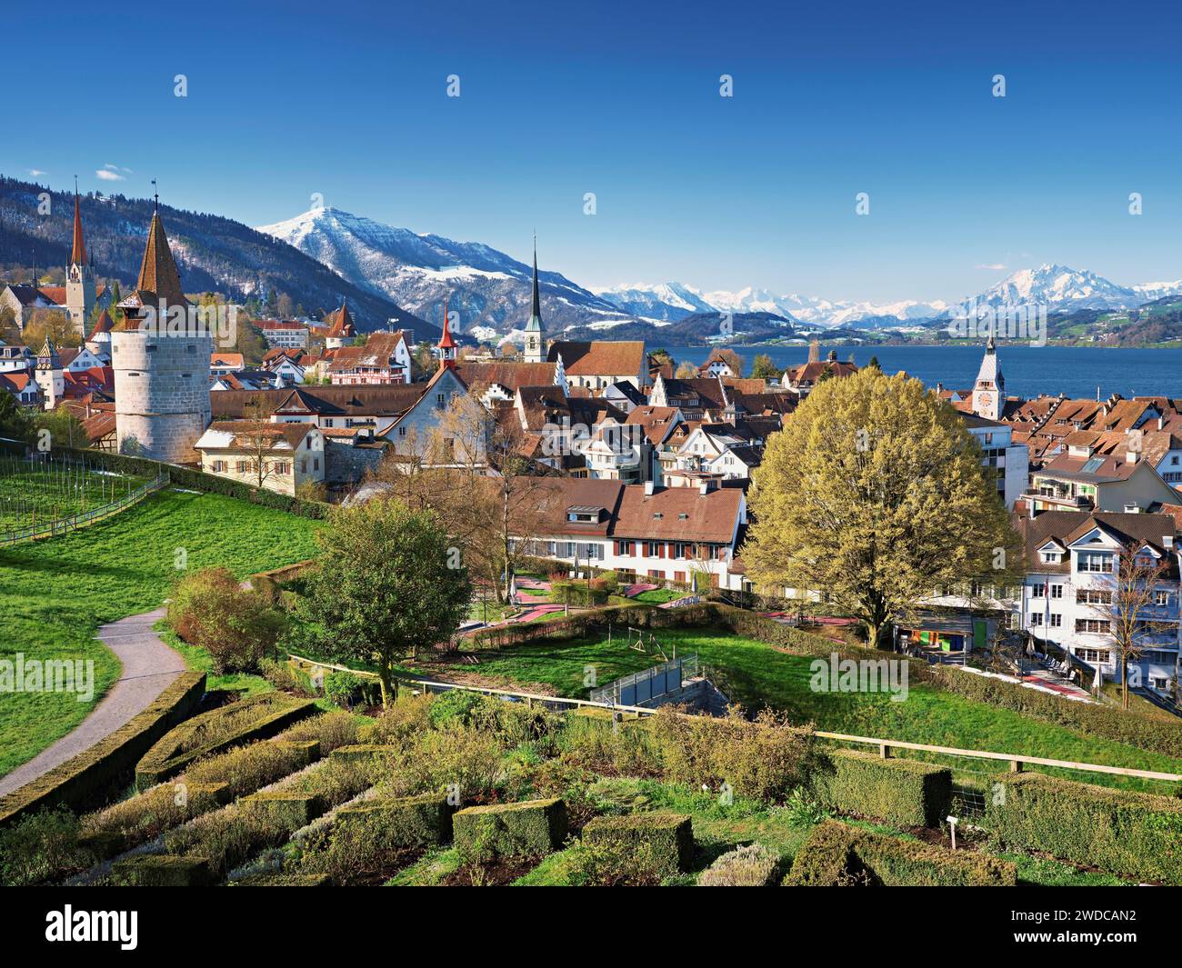 View from the rose garden at the Guggi to the Zytturm, Capuchin tower ...