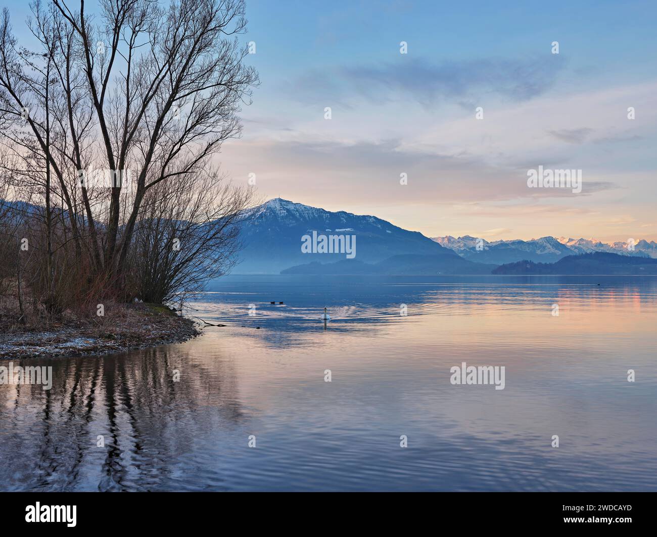 Morning atmosphere at Lake Zug, behind the Rigi, Zug, Canton Zug ...