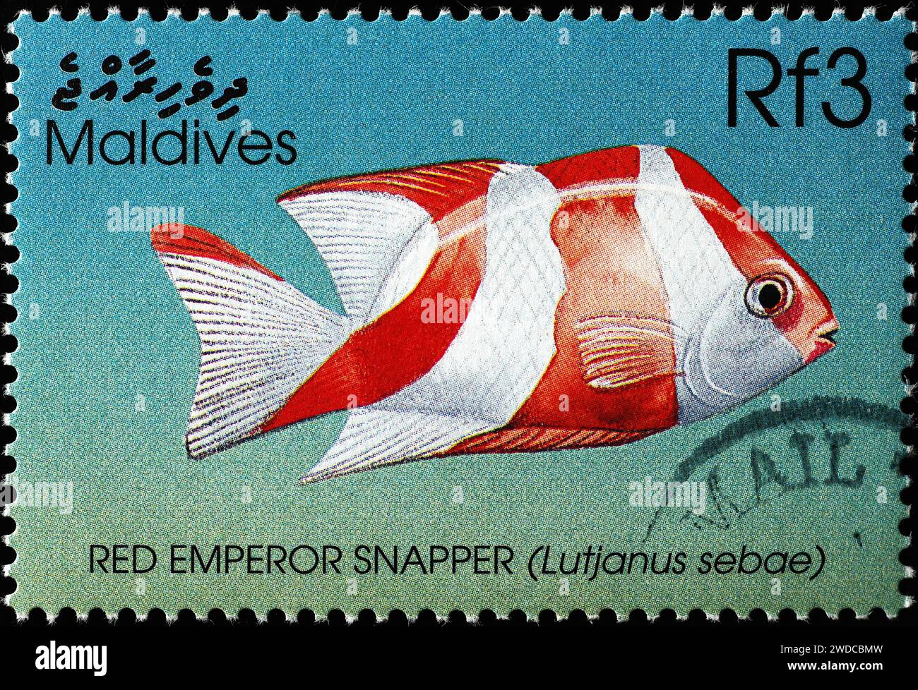 Red emperor snapper on postage stamp from Maldives Stock Photo - Alamy