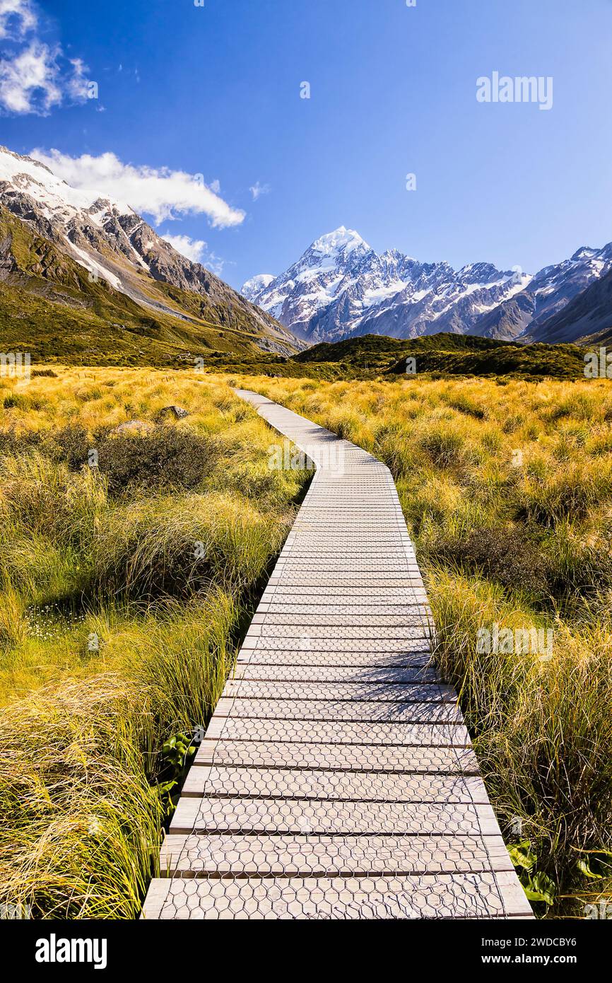 Wooden boardwalk in scenic plain of Mout Cook Aoraki national park ...