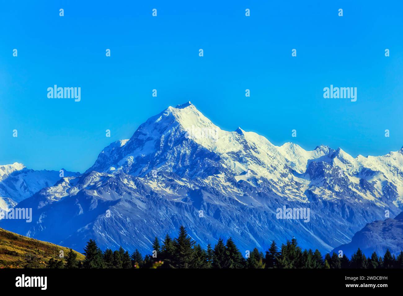 New forest snow capped trees hi-res stock photography and images - Alamy