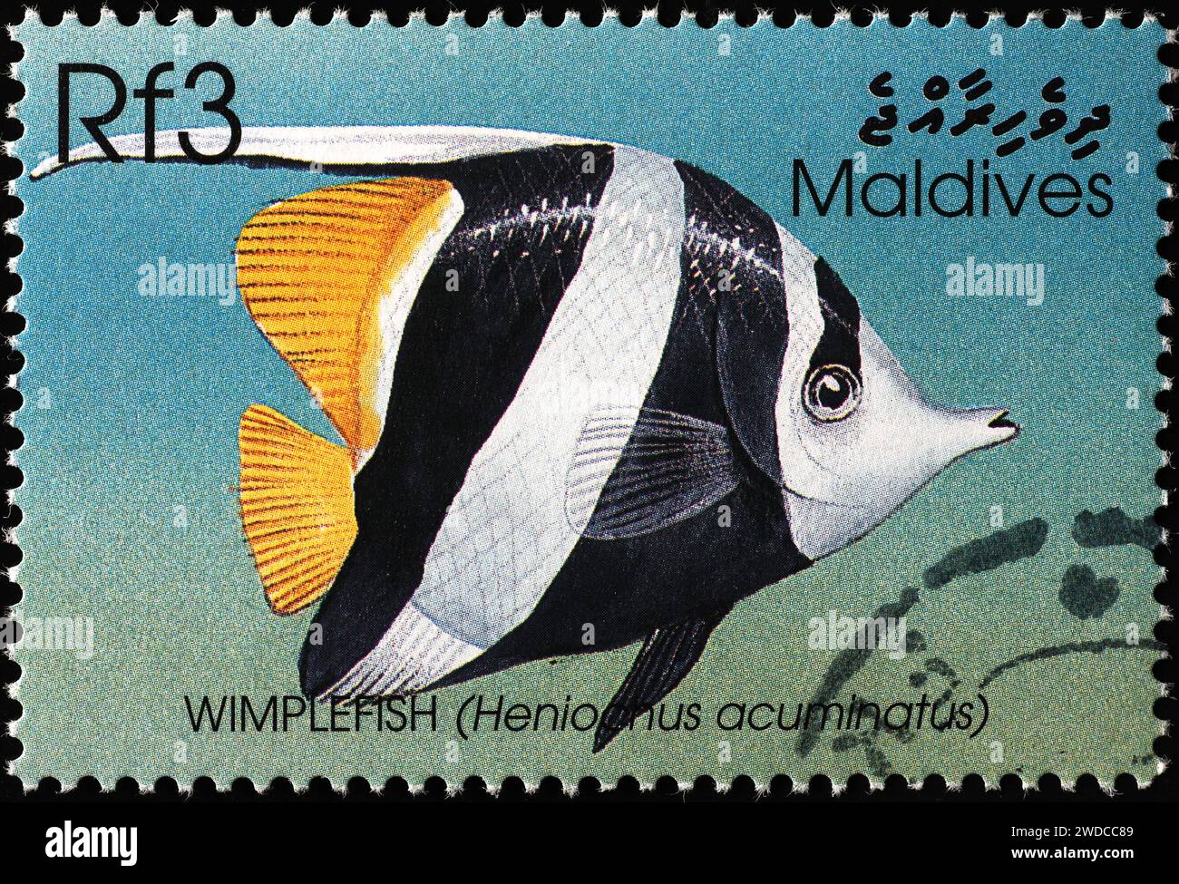 Wimplefish on postage stamp from Maldives Stock Photo - Alamy