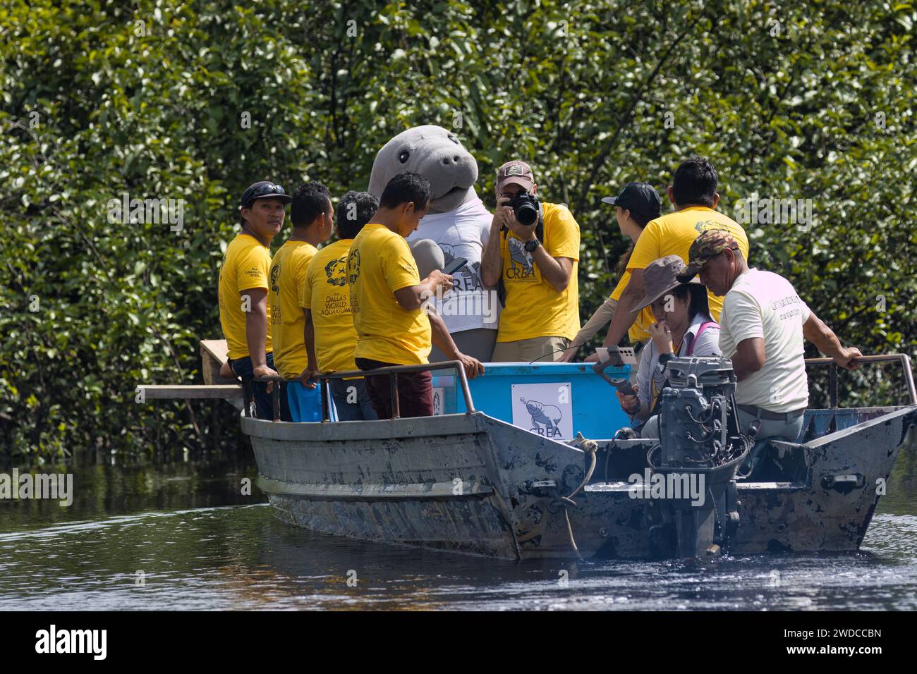 Rescuedmanatees hi-res stock photography and images - Alamy