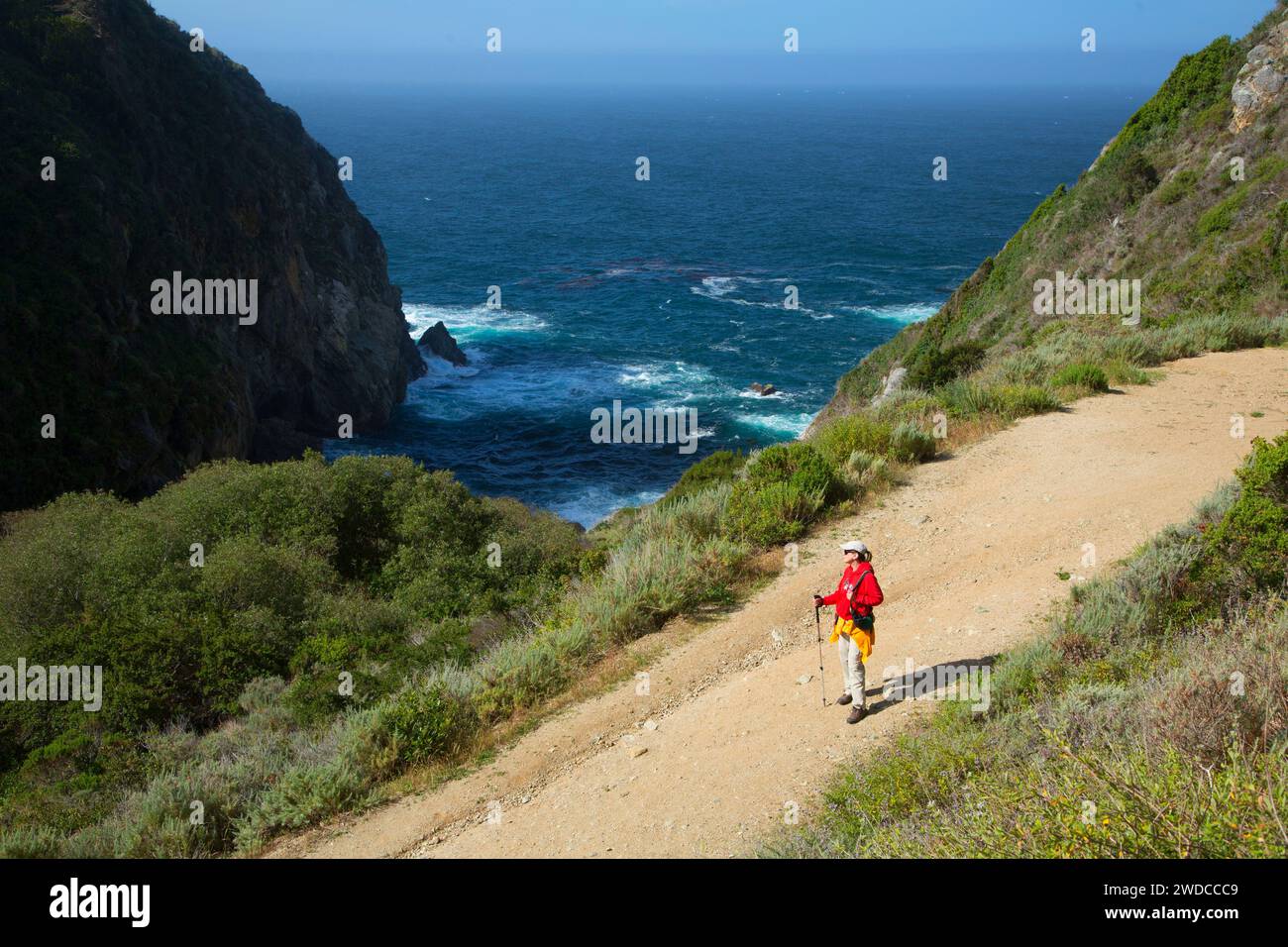Partington Cove Trail, Julia Pfeiffer Burns State Park, Big Sur Coast ...