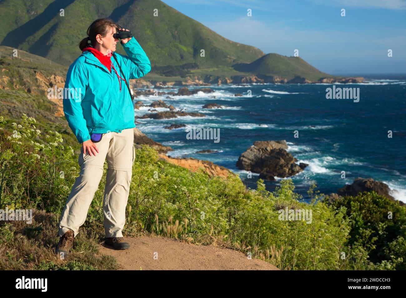 Birding above rocky coast, Garrapata State Park, Big Sur Coast Highway ...