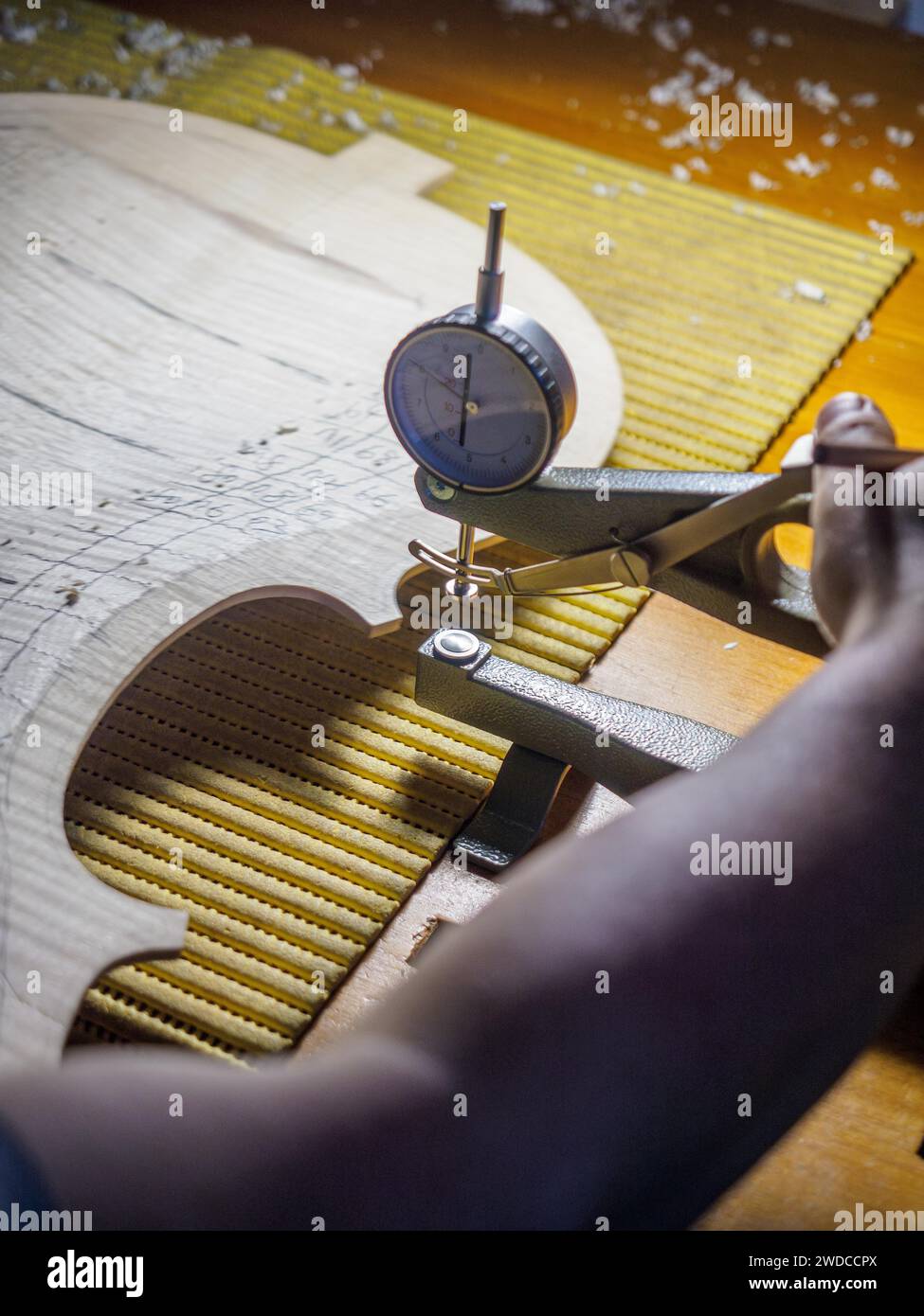 Close up of Stringed instrument maker master luthier hand proceed with ...