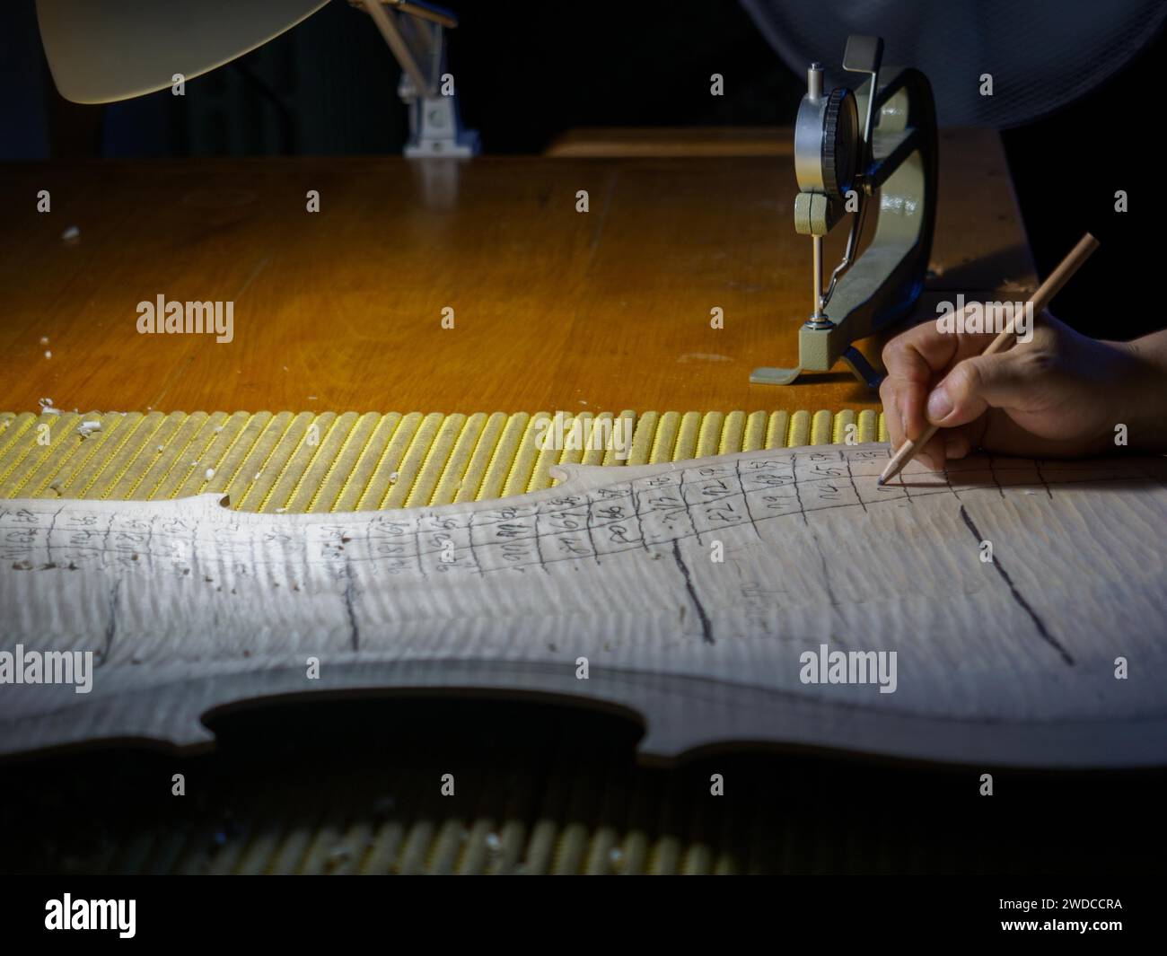 Close up of Stringed instrument maker master luthier hand proceed with ...