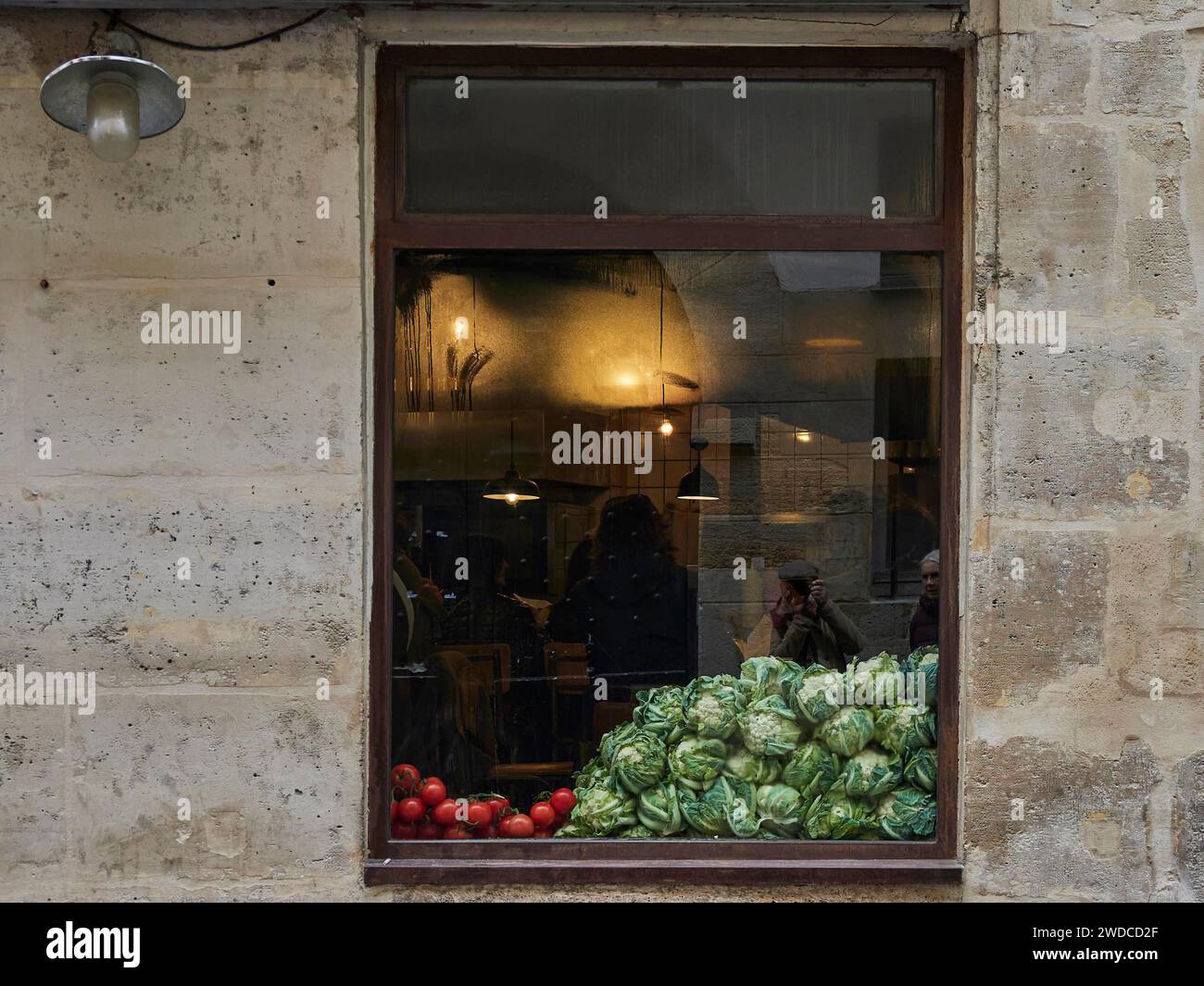 Vegetable display in a shop window with heads of lettuce and tomatoes ...