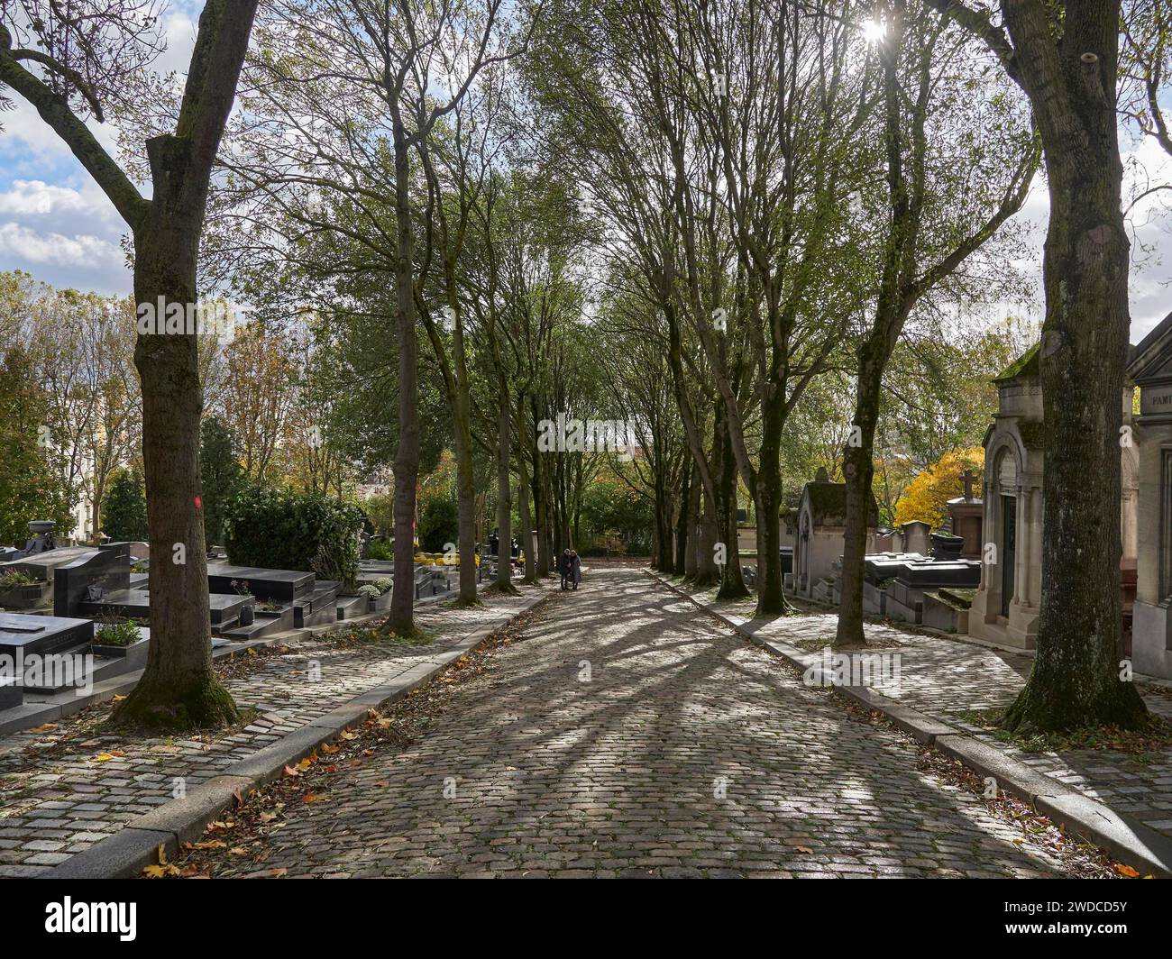 A peaceful cobblestone path lined with trees in a cemetery on an autumn ...