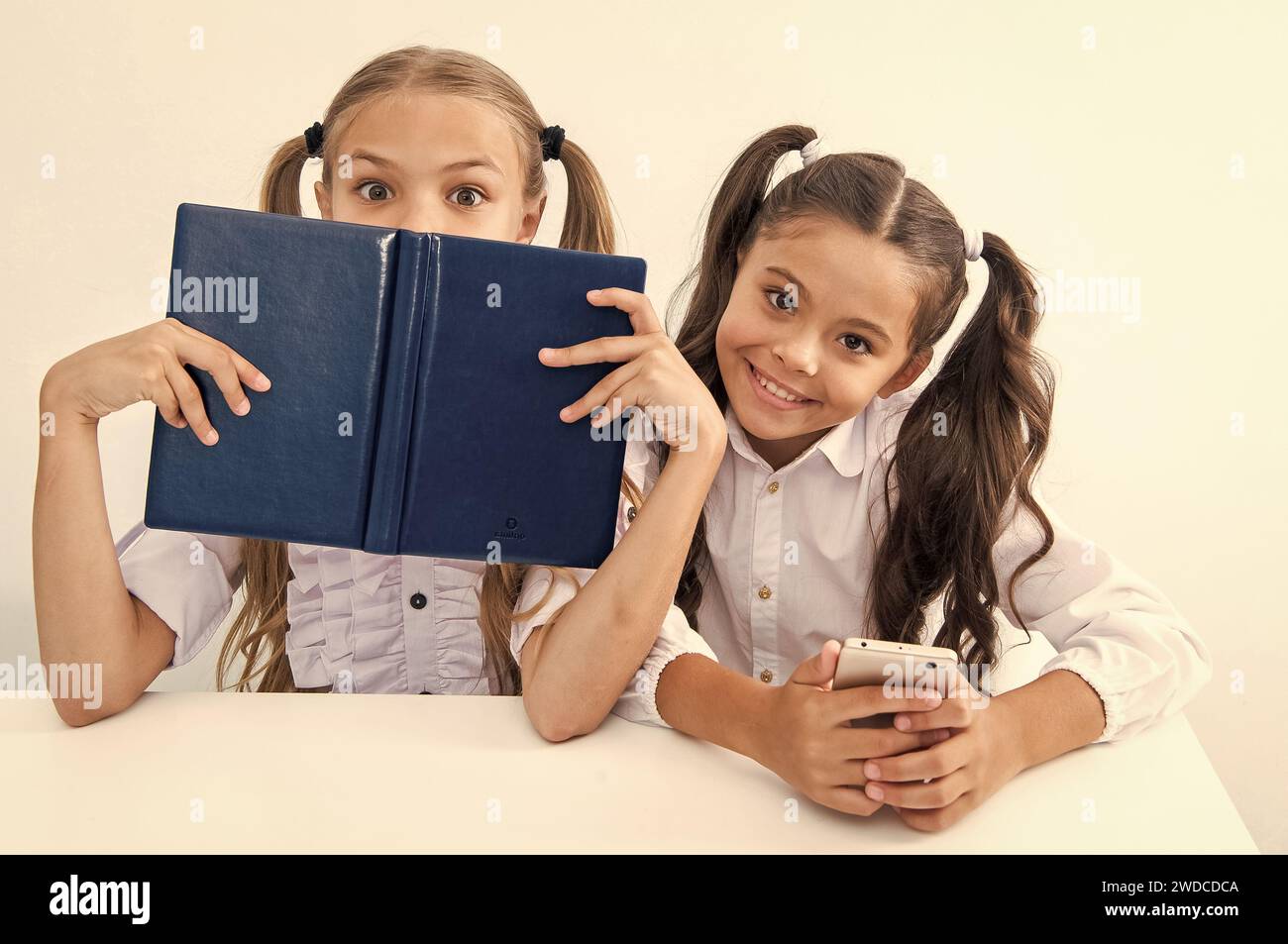two girls study in school class. education and knowledge. children ...