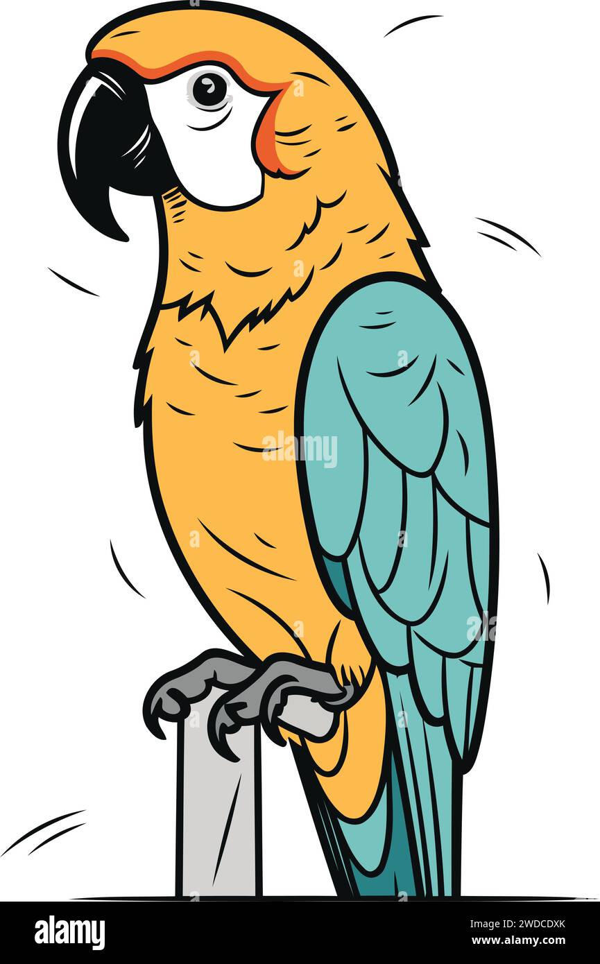 Colorful parrot on white background. Vector illustration in cartoon ...