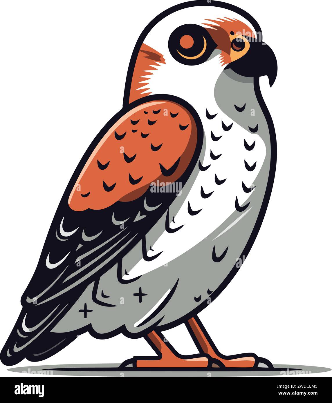 Falcon isolated on white background. Vector illustration in cartoon ...