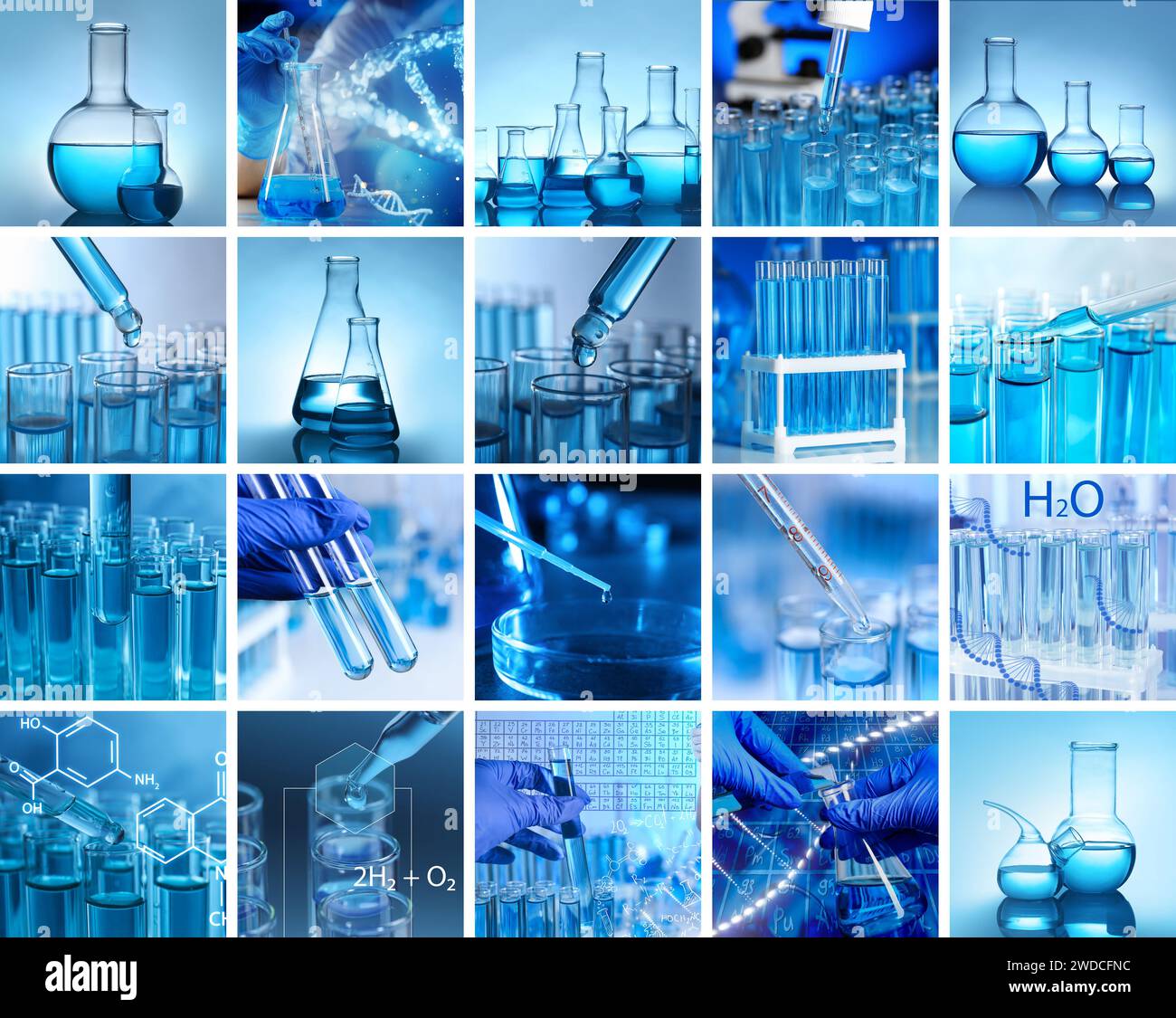 Laboratory glassware with samples and workers, collage Stock Photo - Alamy