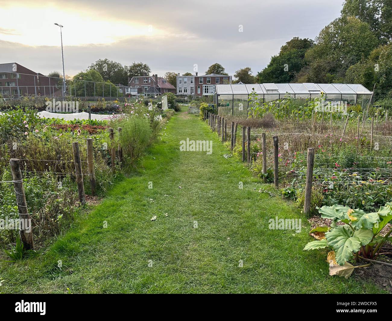 Beautiful farm with different plants and grass Stock Photo - Alamy