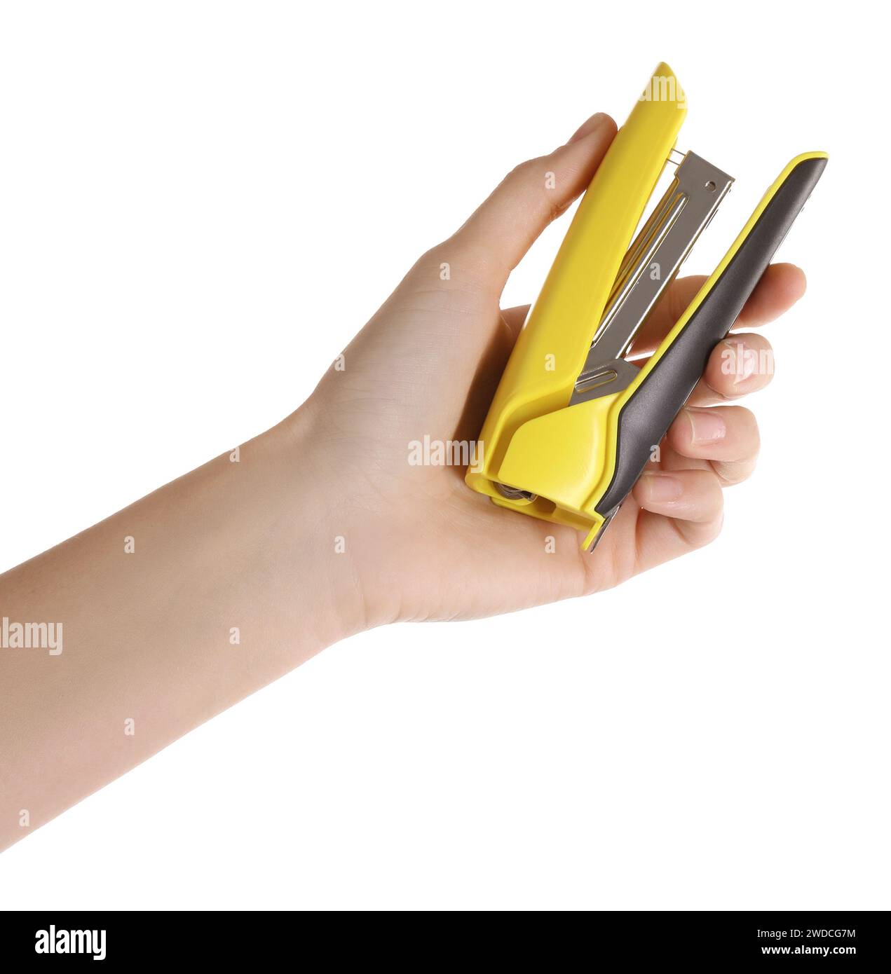 Woman holding yellow stapler on white background, closeup Stock Photo ...