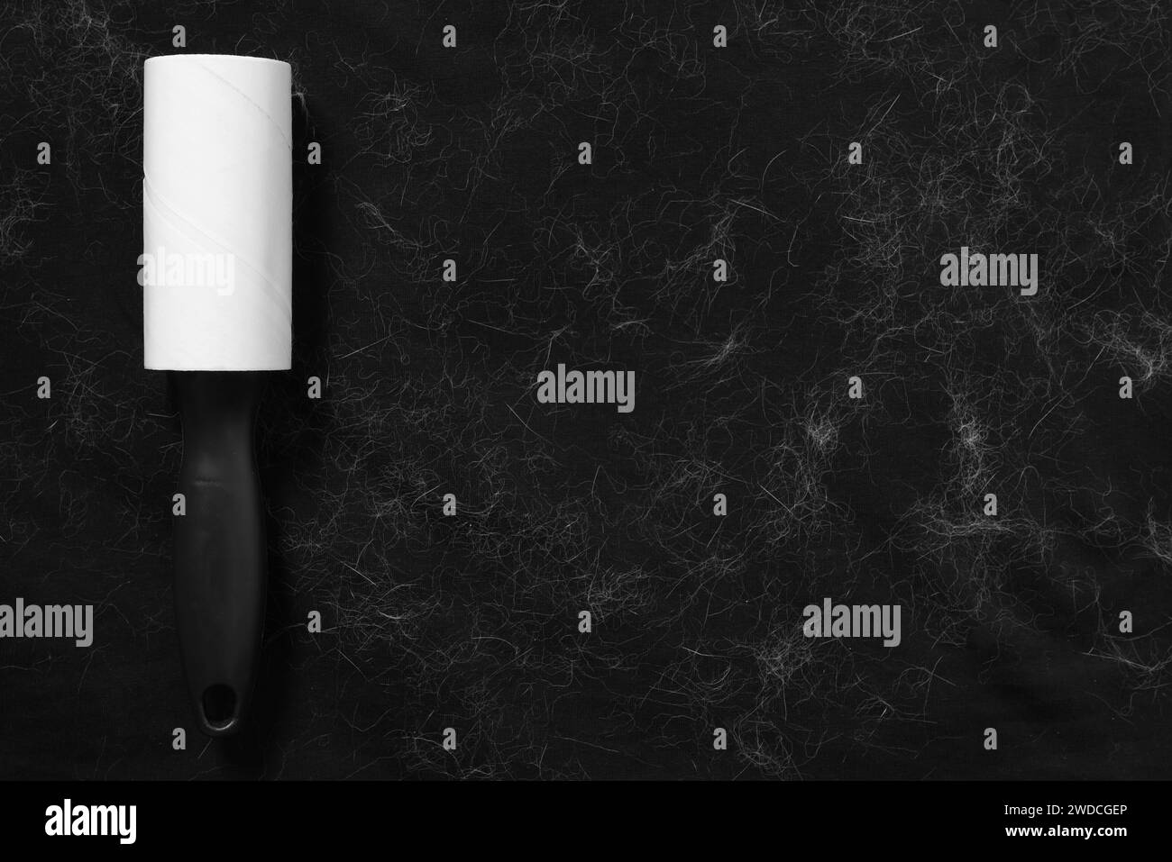 Lint roller and pet hair on black fabric, top view. Space for text Stock Photo - Alamy