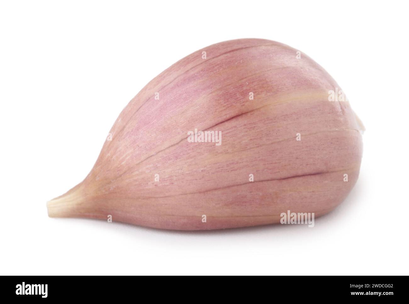 One clove of garlic isolated on white Stock Photo - Alamy