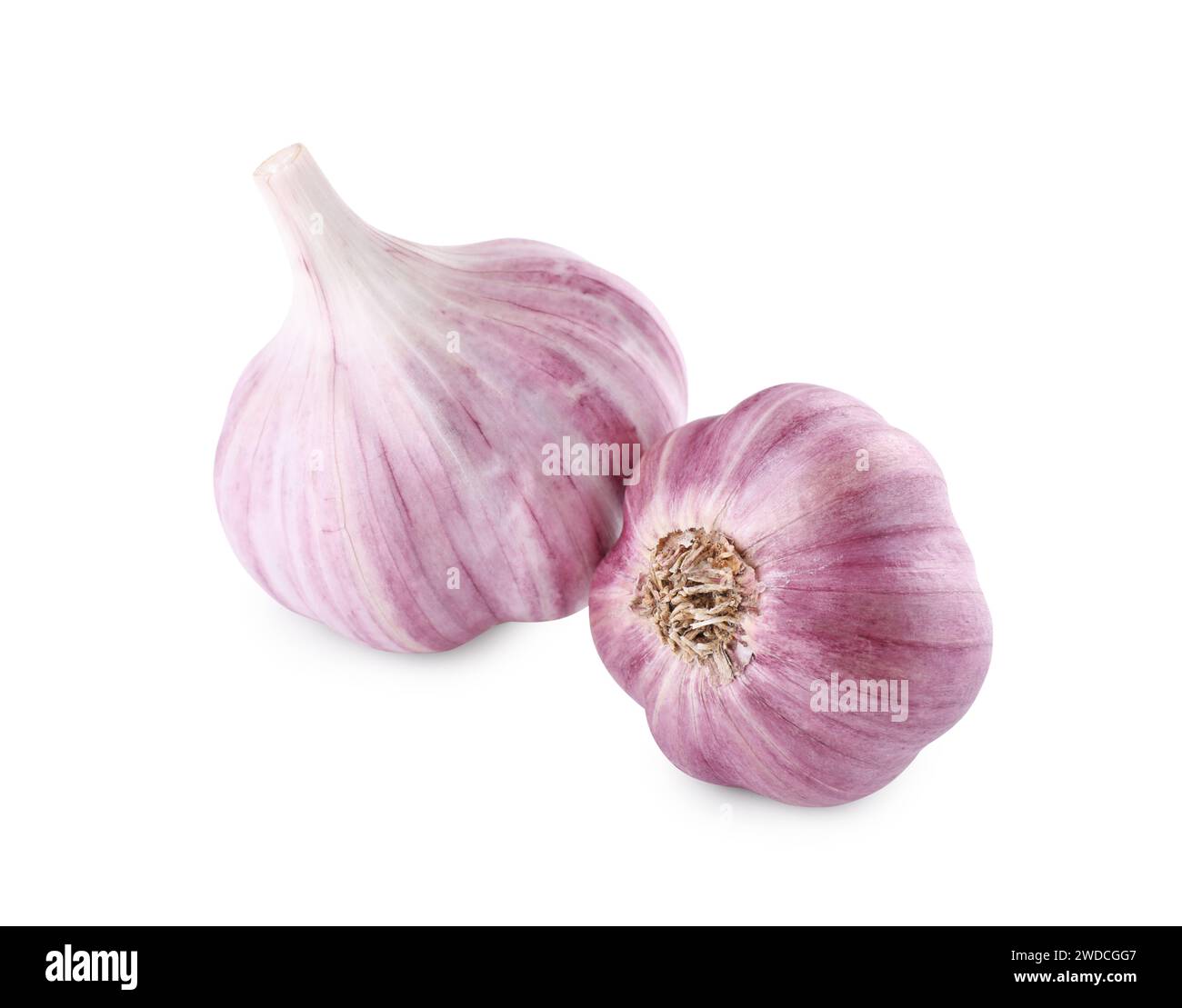 Fresh raw garlic heads isolated on white Stock Photo - Alamy