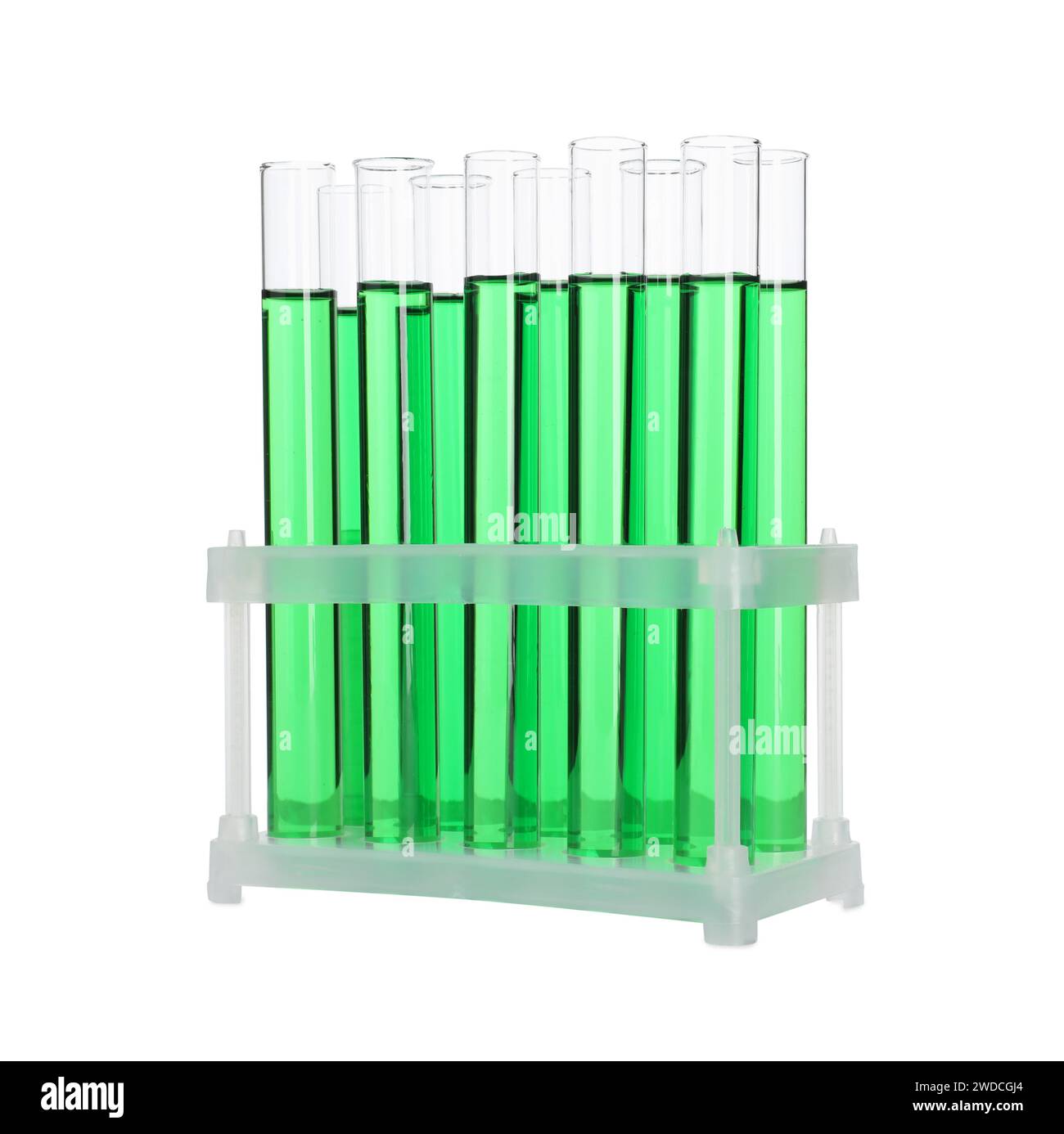 Many test tubes with green liquid in stand isolated on white Stock ...