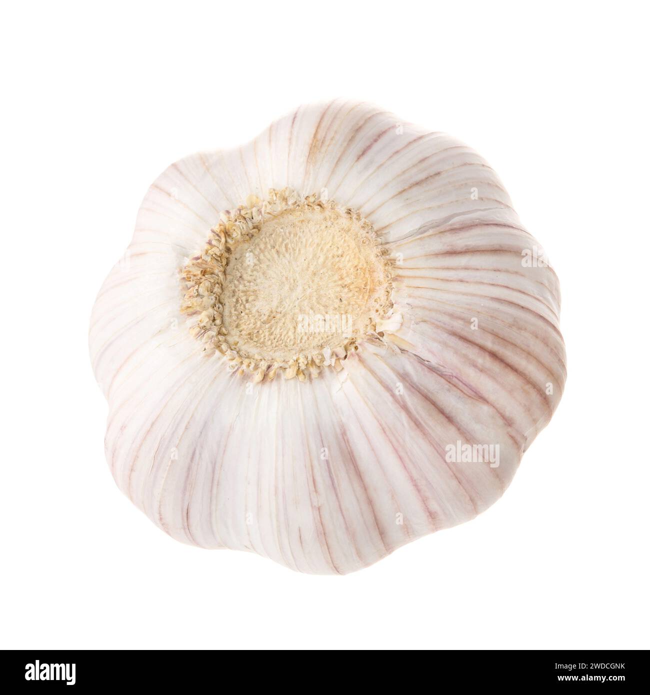 Unpeeled head of fresh garlic isolated on white Stock Photo - Alamy