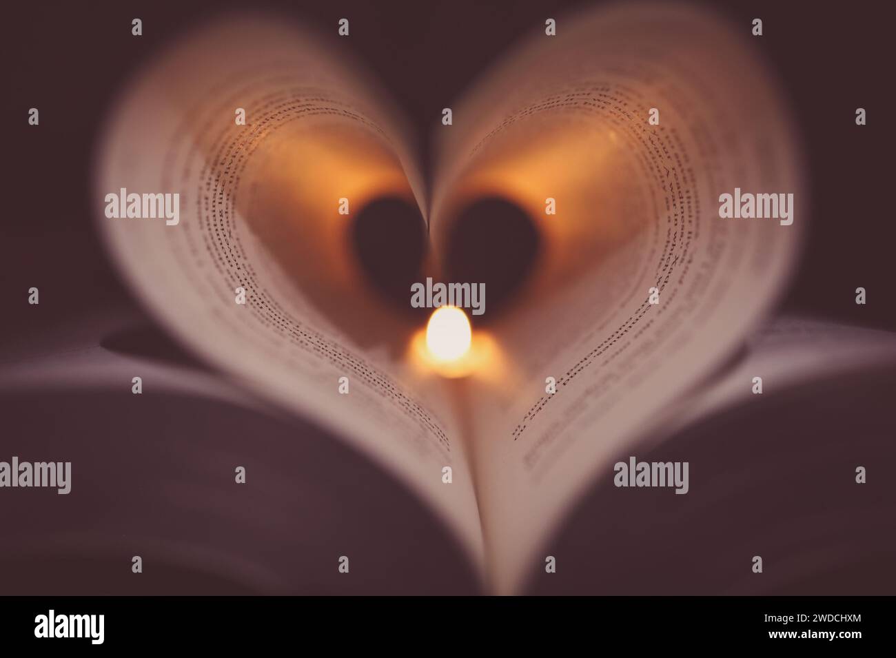 Heart on fire - books pages molded to look like a heart with a tea ...