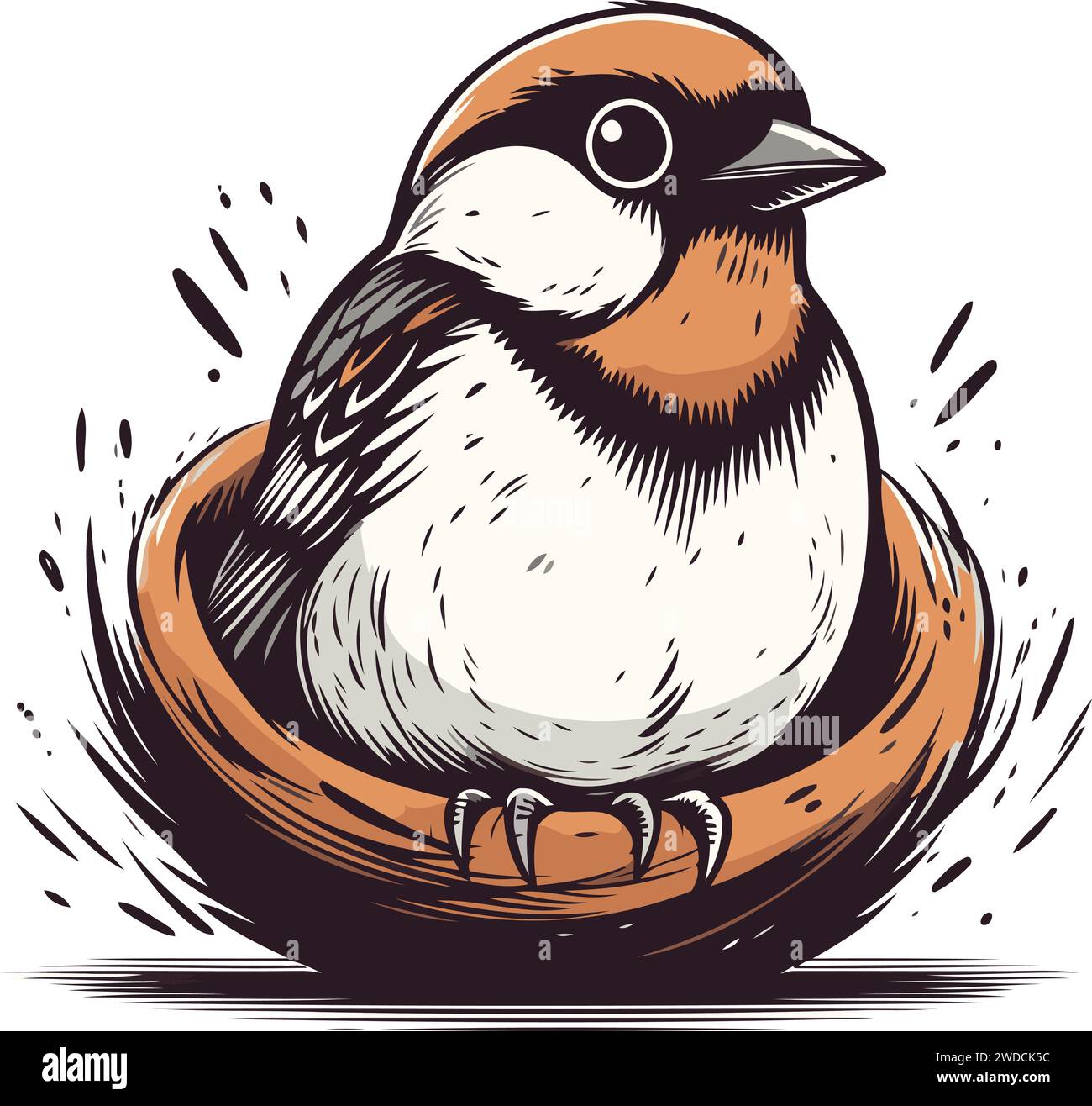 Sparrow sitting in a nest. Hand drawn vector illustration Stock Vector ...