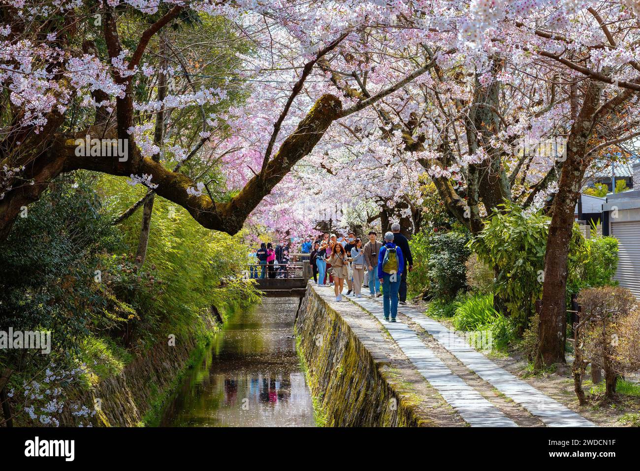 Kyoto, Japan - March 30 2023: The Philosopher's Path is a stone path ...