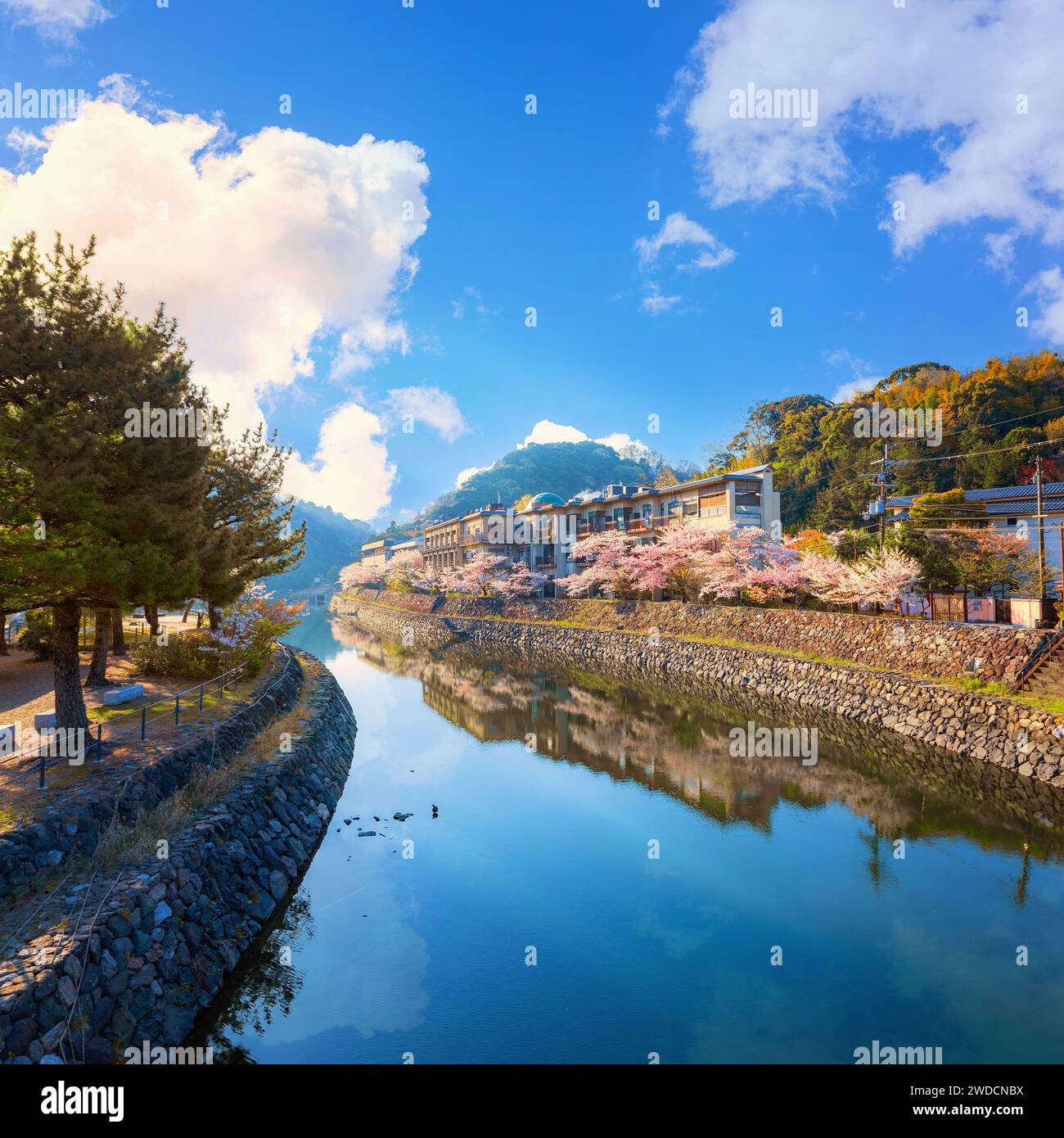 Kyoto, Japan - April 1 2023: Prefectural Uji Park with full bloom ...