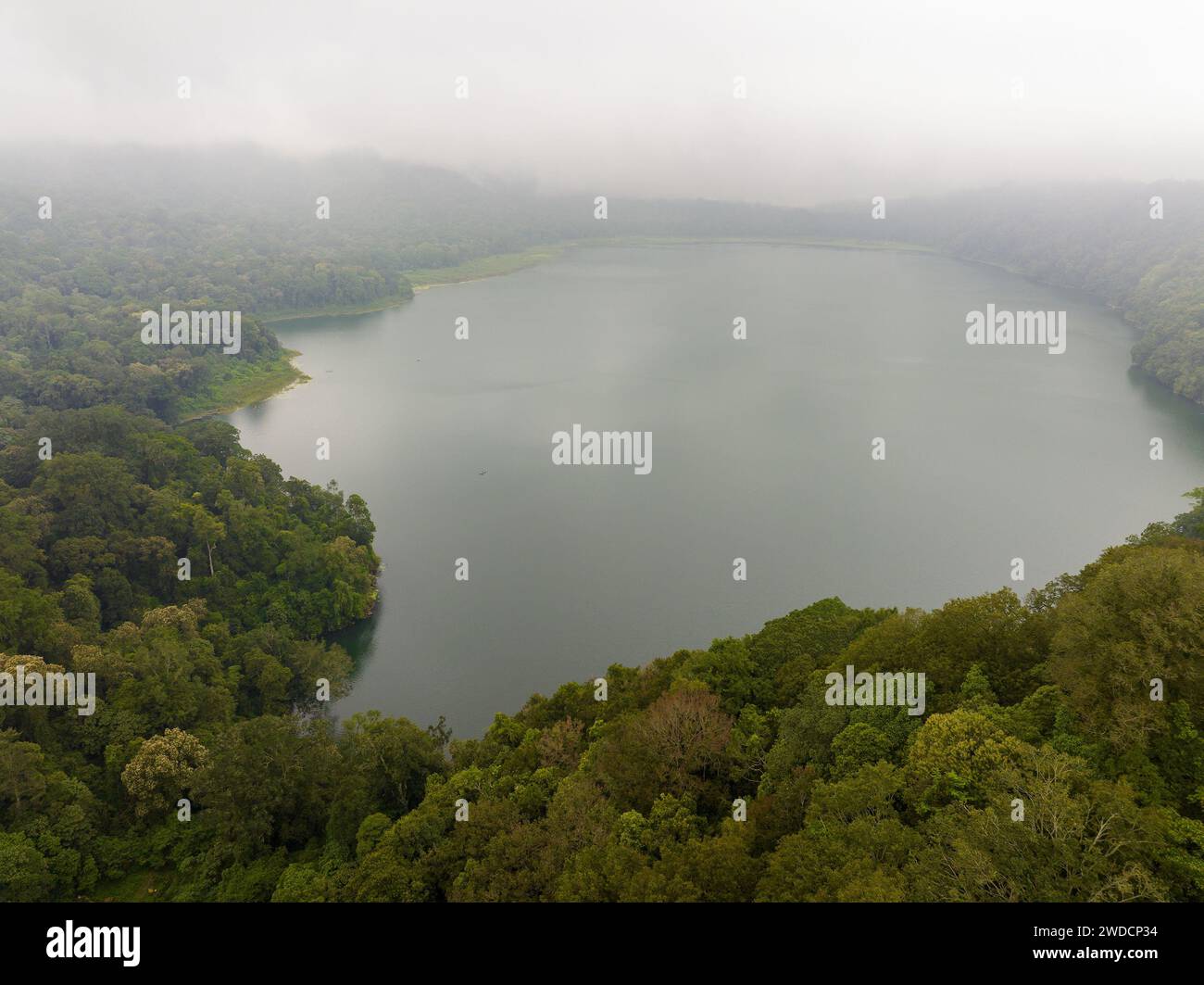 Tamblingan Lake encompassed by dense forest, in fog and clouds, Bali ...