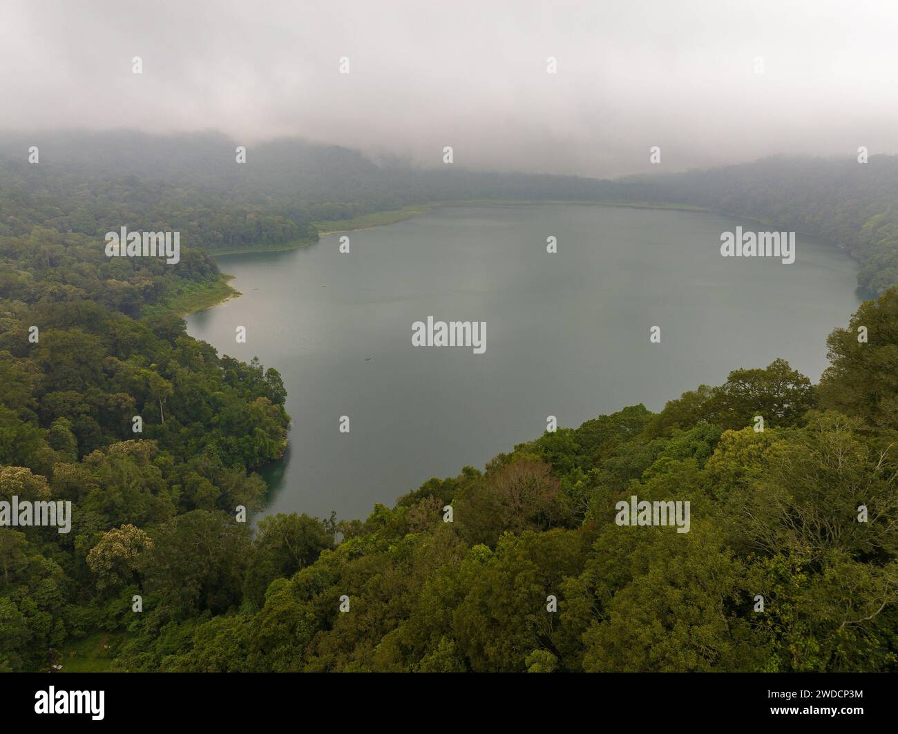 Tamblingan Lake encompassed by dense forest, in fog and clouds, Bali ...