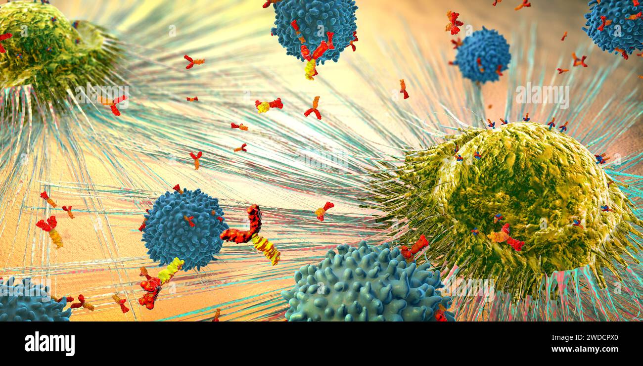 Lymphocytes cells attacking a cancer cell, illustration Stock Photo - Alamy