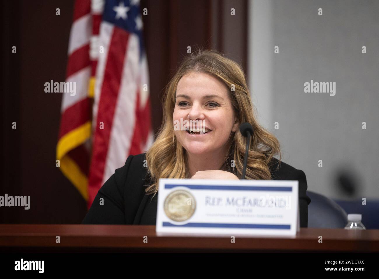 Florida State Rep. Fiona McFarland is seen during a hearing at the ...