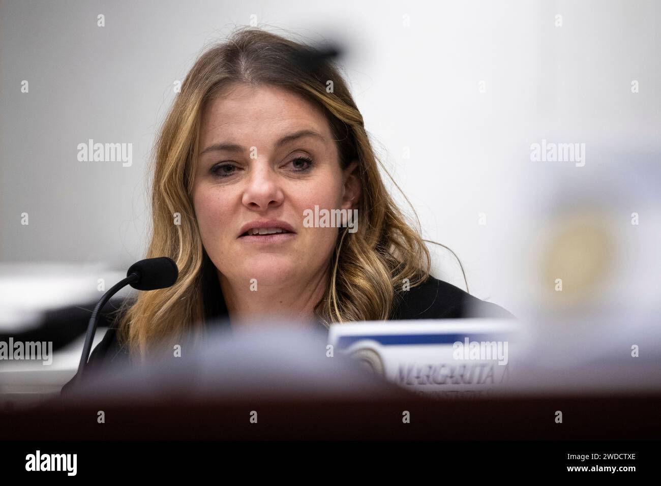 Florida State Rep. Fiona McFarland is seen during a hearing at the ...