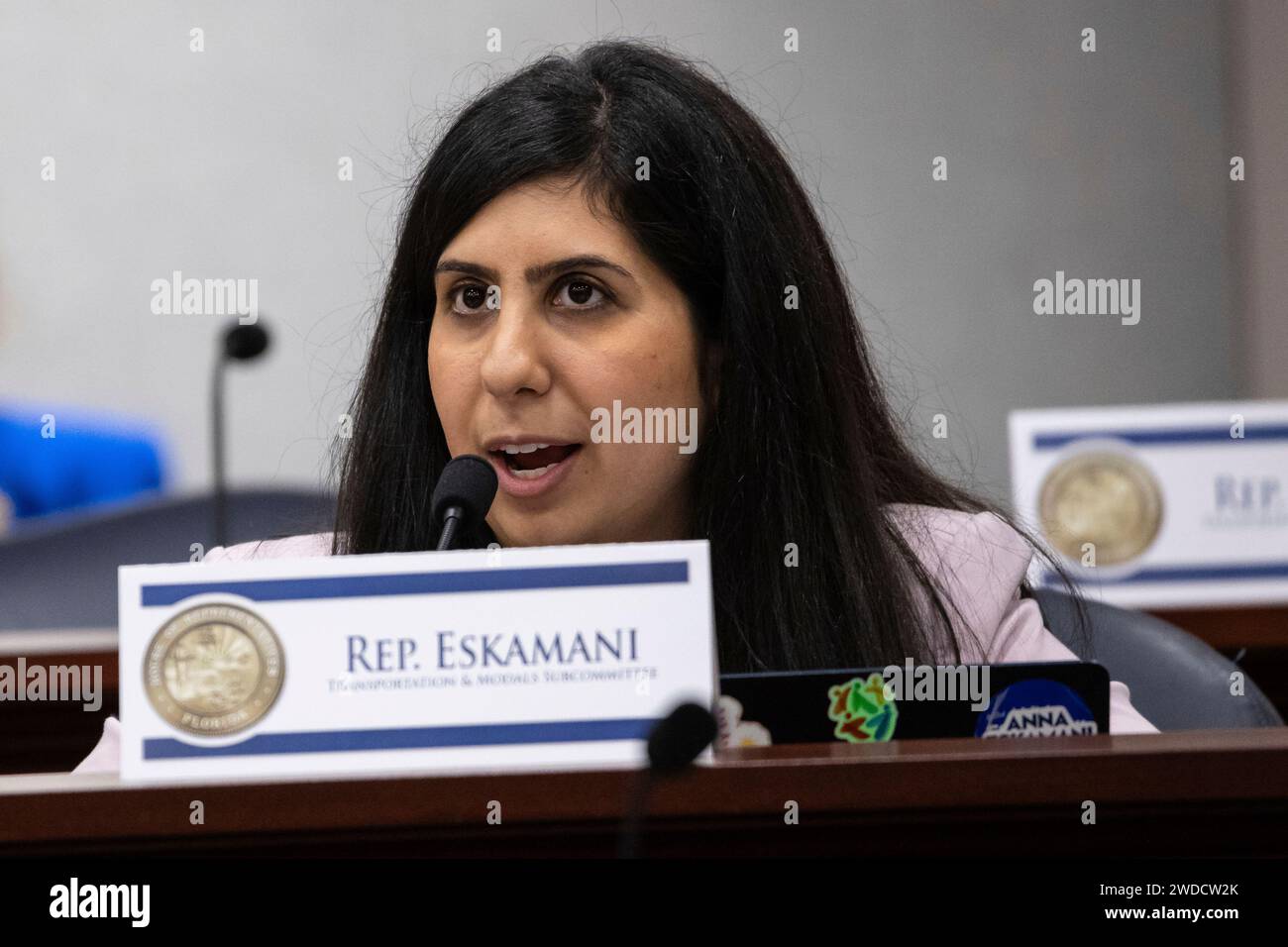 Florida State Rep. Anna Eskamani is seen during a hearing at the ...