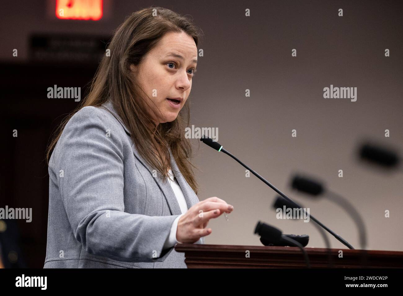 Florida State Rep. Traci Koster is seen during a hearing at the Florida ...