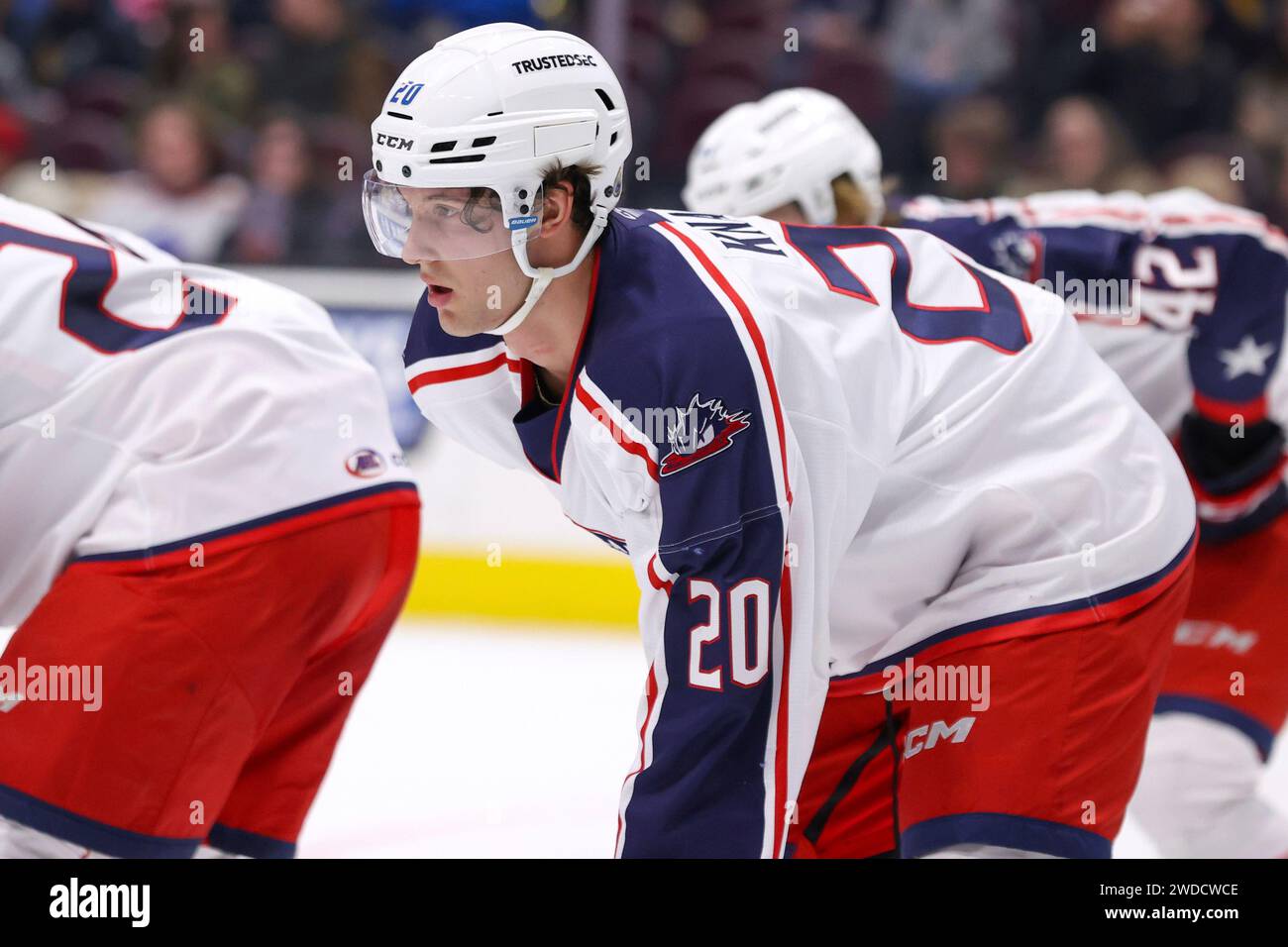 CLEVELAND, OH - JANUARY 19: Cleveland Monsters defenceman Samuel Knazko (20) on the ice during ...
