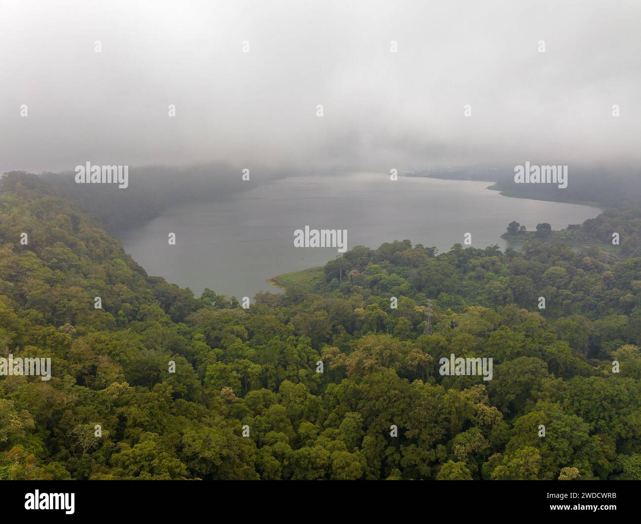 Buyan Lake encompassed by dense forest, in fog and clouds, Bali ...