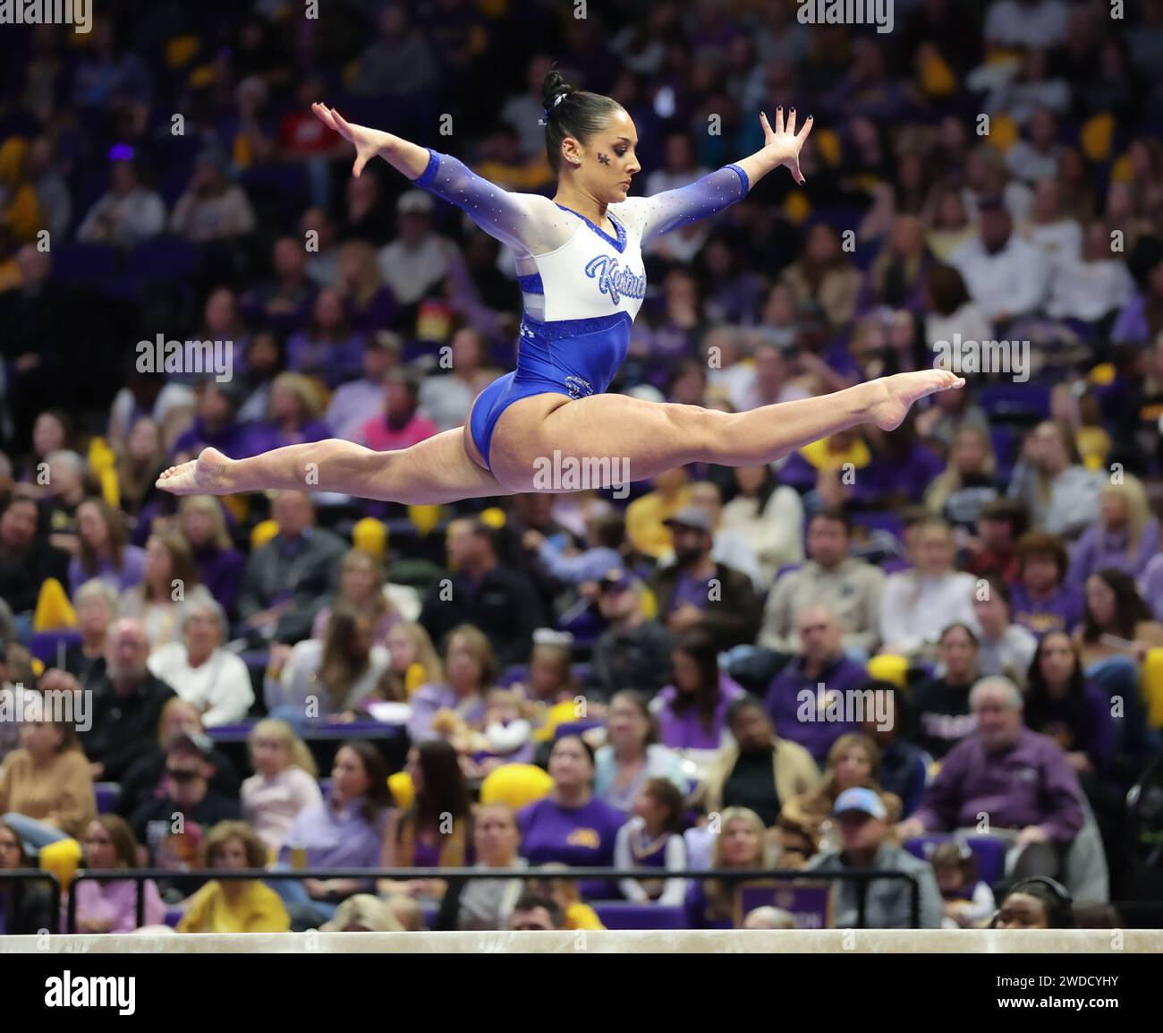 Baton Rouge, LA, USA. 19th Jan, 2024. Kentucky's Isabella Magnelli ...