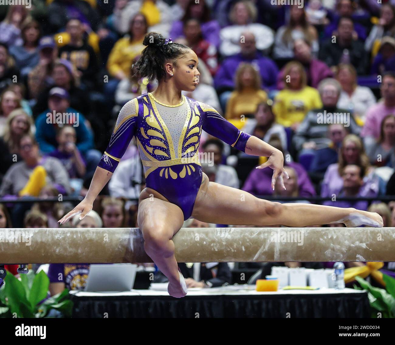 Baton Rouge, LA, USA. 19th Jan, 2024. LSU's Konnor McClain competes on ...